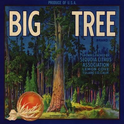 'Big Tree Brand - Lemon Cove, California - Citrus Crate Label' Poster ...