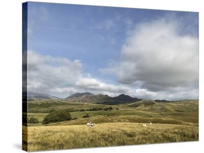 'Beautiful Escape' Stretched Canvas Print - Bill Philip | AllPosters.com