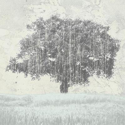 'Meadow Land VIII' Giclee Print - Bill Philip | AllPosters.com