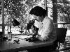 'Biologist/Author Rachel Carson Working with Microscope at Her Home ...