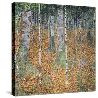 'Birch Forest, 1903' Stretched Canvas Print - Gustav Klimt | AllPosters.com