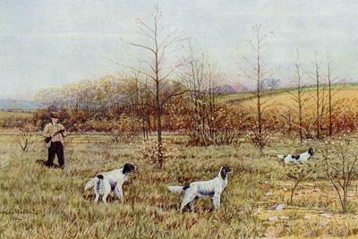 'Bird Hunter with His Setters in the Field, Circa 1900' Photographic ...