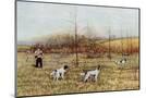 'Bird Hunter with His Setters in the Field, Circa 1900' Photographic ...