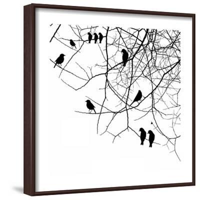 'Birds in a Tree' Print | AllPosters.com