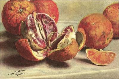 'Blood Oranges' Posters | AllPosters.com