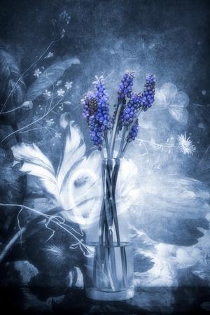 'Blue Poetry' Photographic Print - Philippe Sainte-Laudy | AllPosters.com