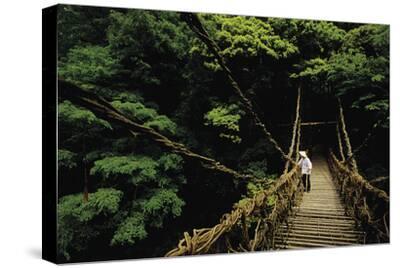 'Forest Crossing' Stretched Canvas Print - Bob Krist | AllPosters.com