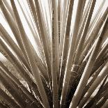 'Downtown Chicago II' Photographic Print - Bob Stefko | AllPosters.com