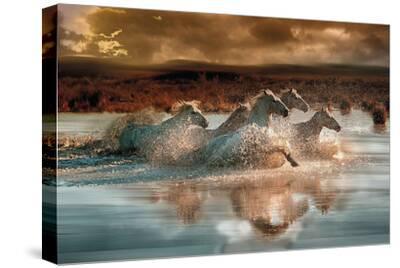 'Camargue Water Run - Spatter' Stretched Canvas Print - Bobbie Goodrich ...