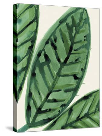 'Bold Nature - Leaf' Stretched Canvas Print - Strawberry Field ...