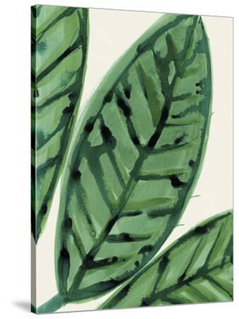 'Bold Nature - Leaf' Stretched Canvas Print - Strawberry Field ...
