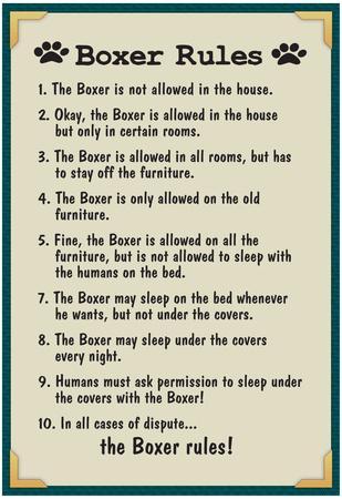 'Boxer House Rules' Print | AllPosters.com