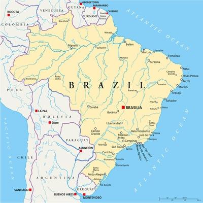 'Brazil Political Map' Posters - Peter Hermes Furian | AllPosters.com