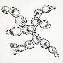 Brewer's Yeast (Saccharomyces Cerevisiae), Saccharomycetaceae Giclee ...