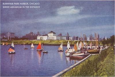 'Burnham Park Harbor, Chicago, Illinois' Poster | AllPosters.com