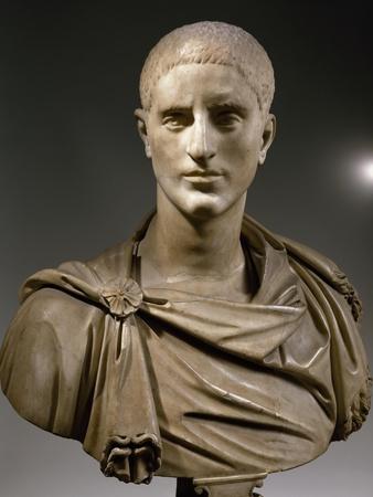 Bust of Maximus Giclee Print | AllPosters.com