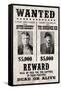 Butch Cassidy and The Sundance Kid Wanted Advertisement Print Poster ...