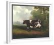 Prize Heifer Giclee Print - C^D^ Lange | AllPosters.com