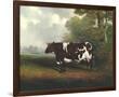 Prize Heifer Giclee Print - C^D^ Lange | AllPosters.com