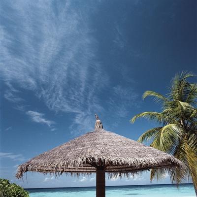 'Cabana and Palm Trees' Photographic Print | AllPosters.com