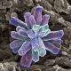 'Calcium Phosphate Crystal, SEM' Photographic Print - Steve ...