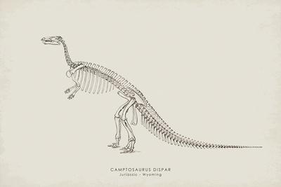 'Camptosaurus' Giclee Print - The Vintage Collection | AllPosters.com