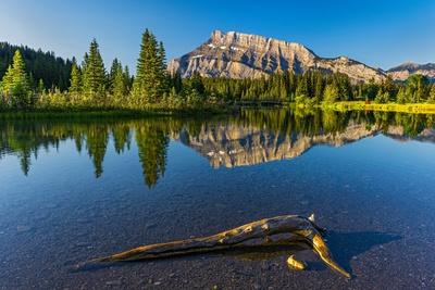 'Canada, Alberta, Banff National Park. Mt. Rundle reflected in Two Jack ...