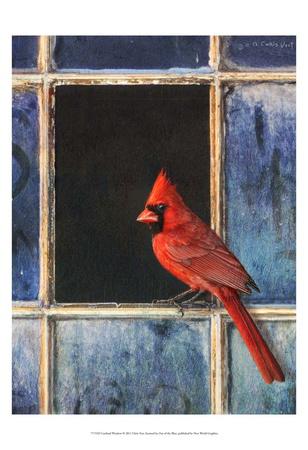 'Cardinal Window' Poster - Chris Vest | AllPosters.com