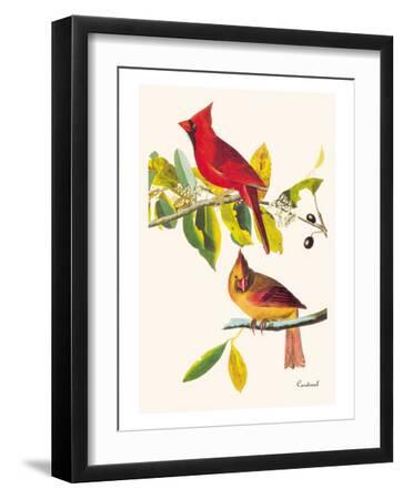 'Cardinal' Poster - John James Audubon | AllPosters.com