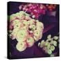 'Floral Decadence' Stretched Canvas Print - Carina Okula | AllPosters.com