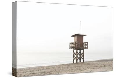 'High Perch' Stretched Canvas Print - Carina Okula | AllPosters.com