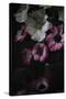 'Midnight Fancy - Bloom' Stretched Canvas Print - Carina Okula ...