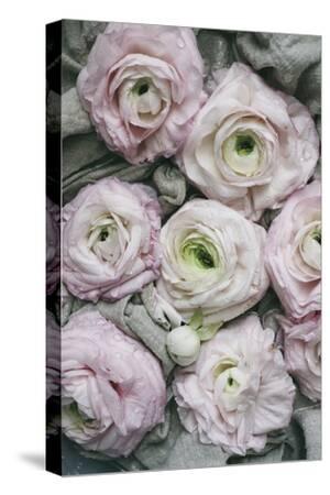 'Midnight Fancy - Floral' Stretched Canvas Print - Carina Okula ...