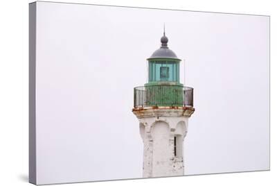 Observation Stretched Canvas Print - Carina Okula | AllPosters.com