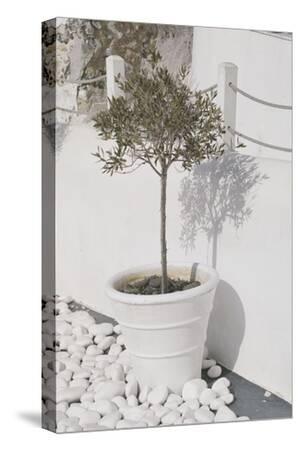 'Pebble Edge' Stretched Canvas Print - Carina Okula | AllPosters.com