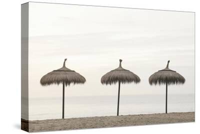 'Shade Trio' Stretched Canvas Print - Carina Okula | AllPosters.com