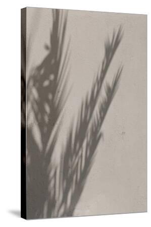 'Shadow Play - Cheer' Stretched Canvas Print - Carina Okula ...