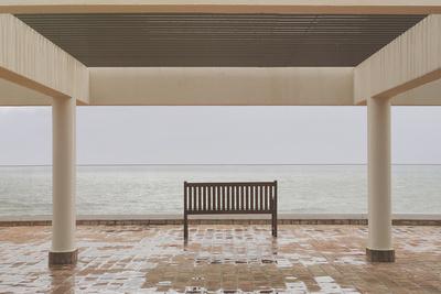 'Singular View' Giclee Print - Carina Okula | AllPosters.com