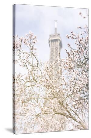 'Spring Iconic' Stretched Canvas Print - Carina Okula | AllPosters.com