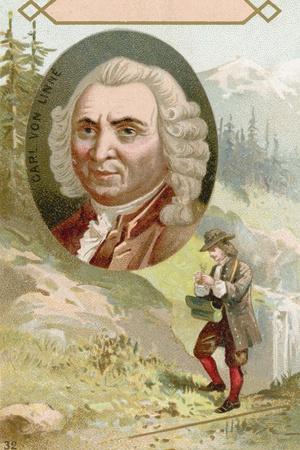'Carl Linnaeus, Swedish Botanist and Zoologist' Giclee Print ...