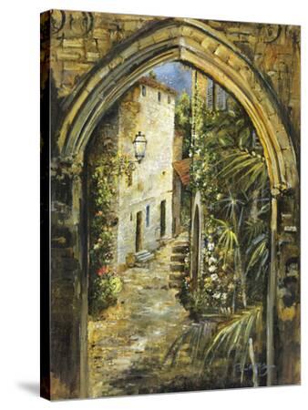 'Sentiero' Stretched Canvas Print - Carney | AllPosters.com