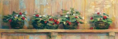 Strawberries in Pots - Carol Rowan | AllPosters.com
