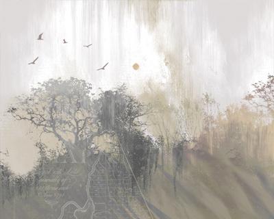 'Cartography Forest' Giclee Print - Ken Hurd | AllPosters.com