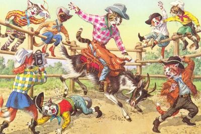 'Cat Rodeo' Posters | AllPosters.com