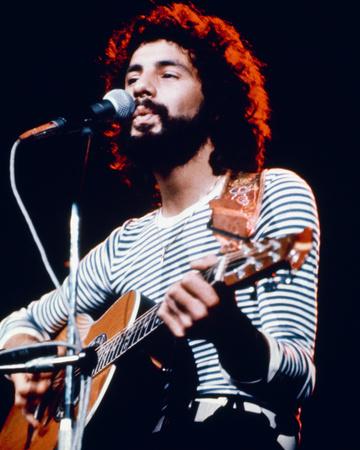 'Cat Stevens' Photo | AllPosters.com