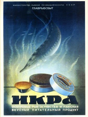 'Caviar - Tasty and Nutritious' Posters | AllPosters.com