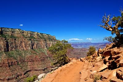 'Cedar Ridge - Grand Canyon - National Park - Arizona - United States ...