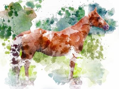 'Equine Confirmation' Posters - Chamira Young | AllPosters.com