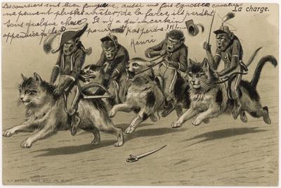 Charge of the Monkey Brigade' Monkeys in Military Uniform Riding Cats ...