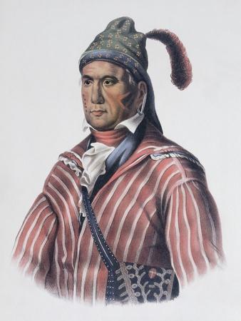 'Menawa (Oakfuskee Chief)' Giclee Print - Charles Bird King ...